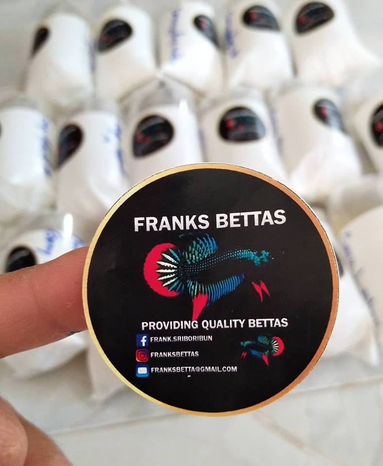 Franks Bettas